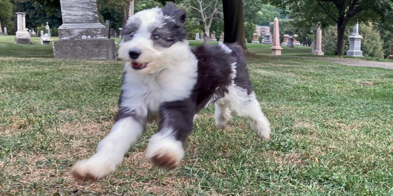 Finding Grace (and grace) in our lives – Thomas Froese