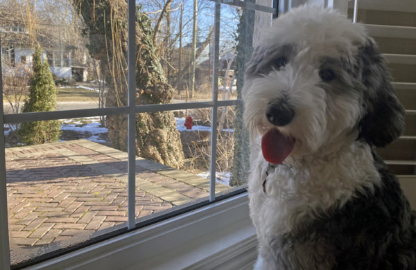 There's a certain grace in loving Grace – Thomas Froese